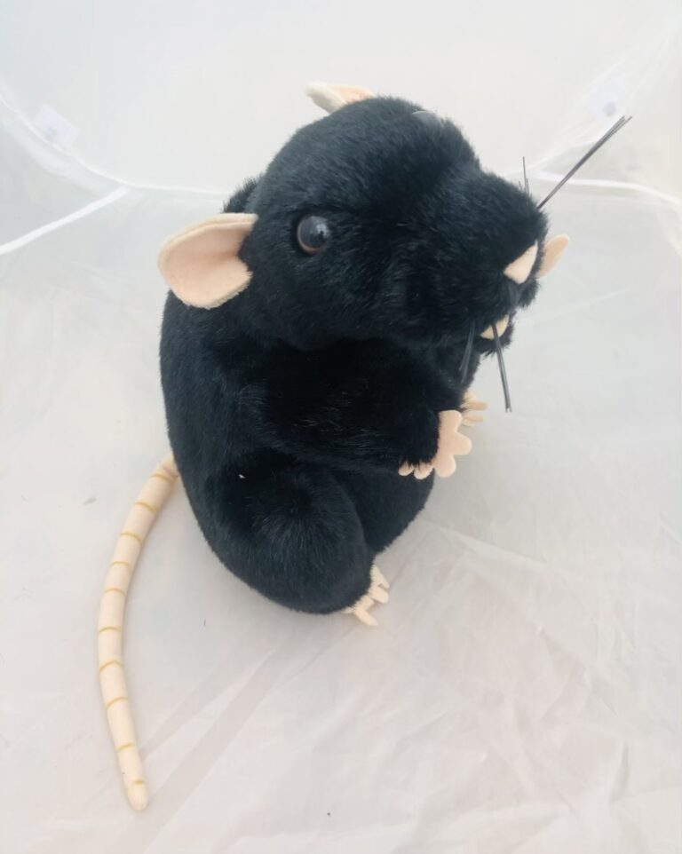 European Black Rat Animal Puppet - Derbyshire Toy Libraries