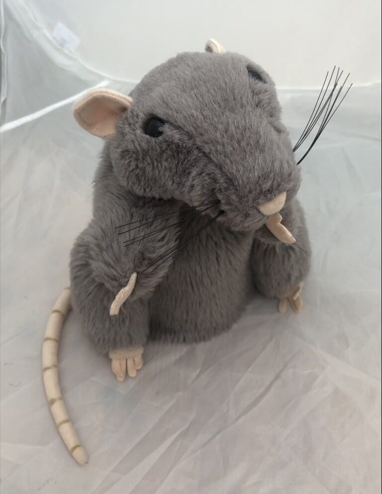European Grey Rat Animal Puppet - Derbyshire Toy Libraries